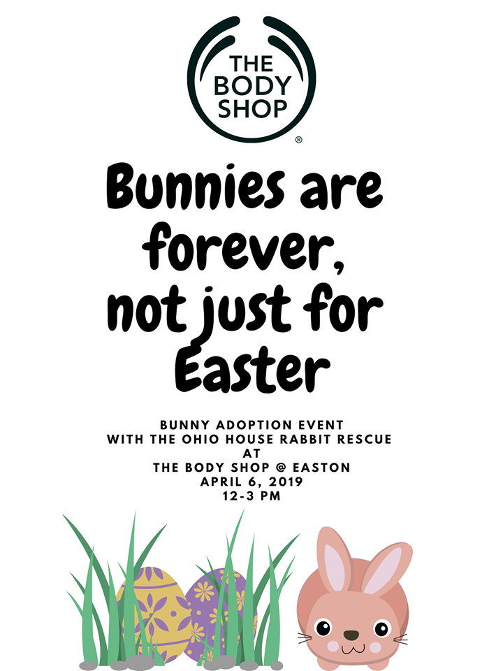 BODYSHOP - Ohio House Rabbit Rescue